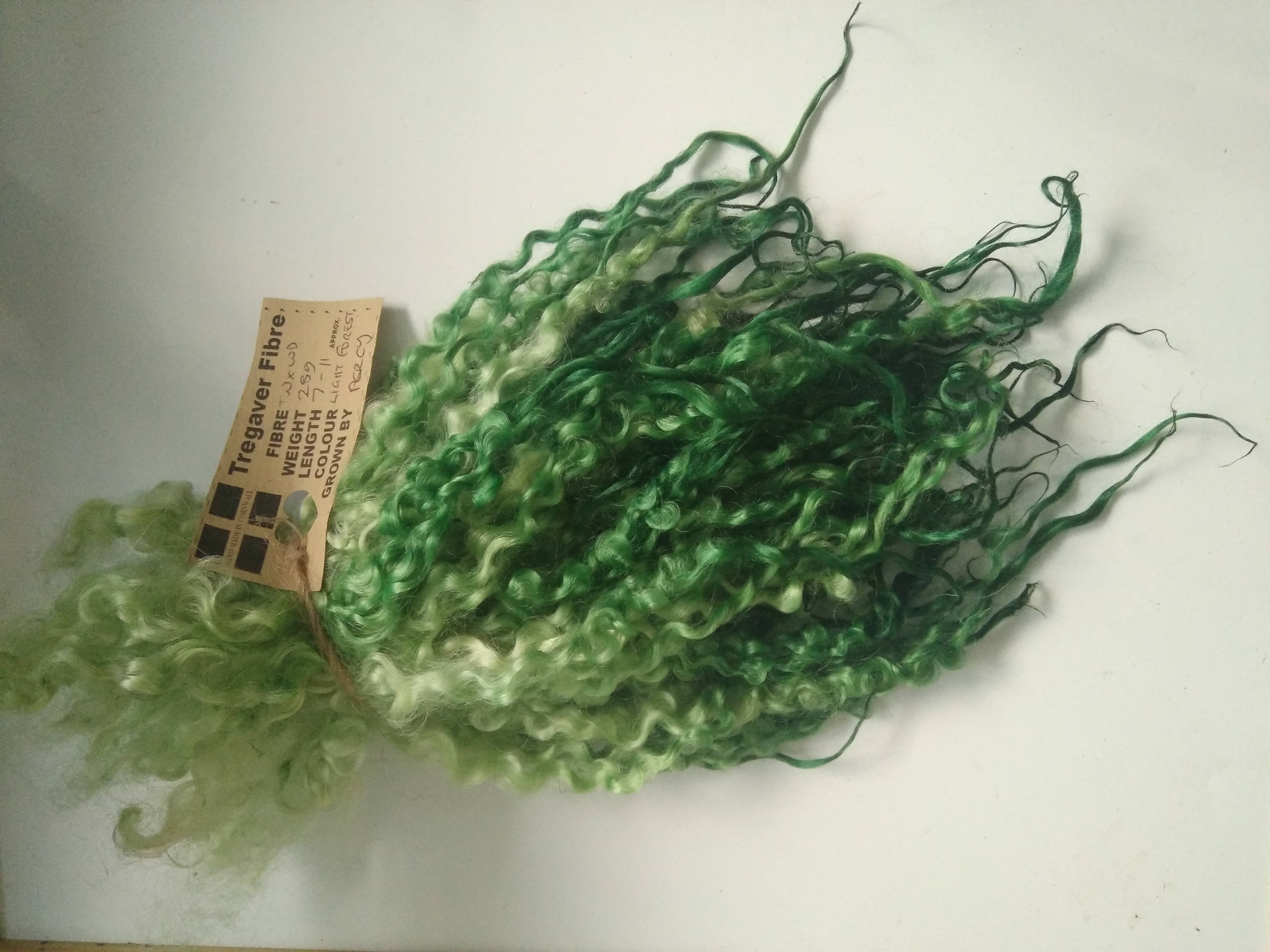 Light Forest Green Teeswater x wensleydale wool locks, 28g 14g 7g (v)