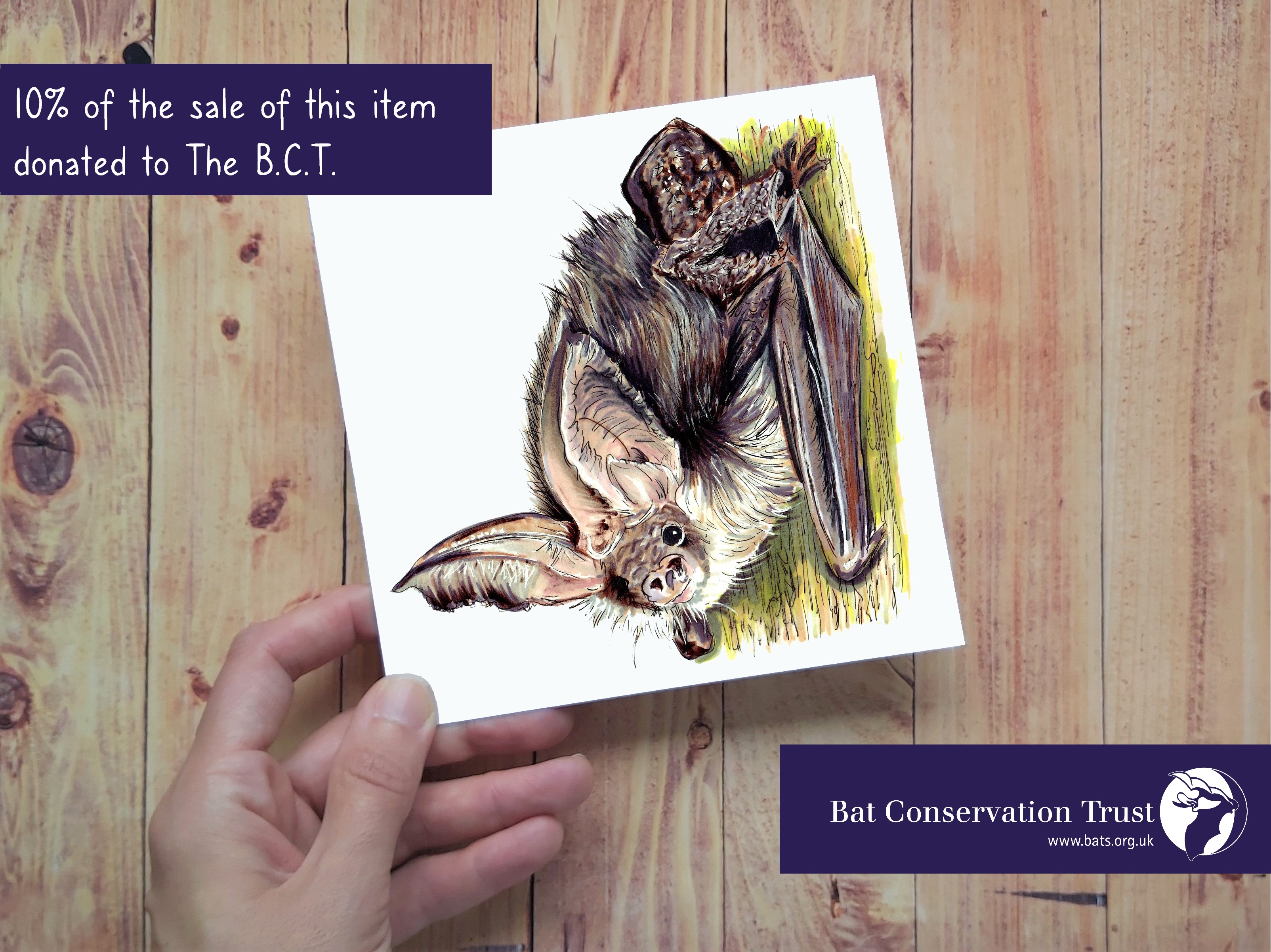 Bat Card, Brown Long Eared Bat Card, Bat Lover Greeting Card
