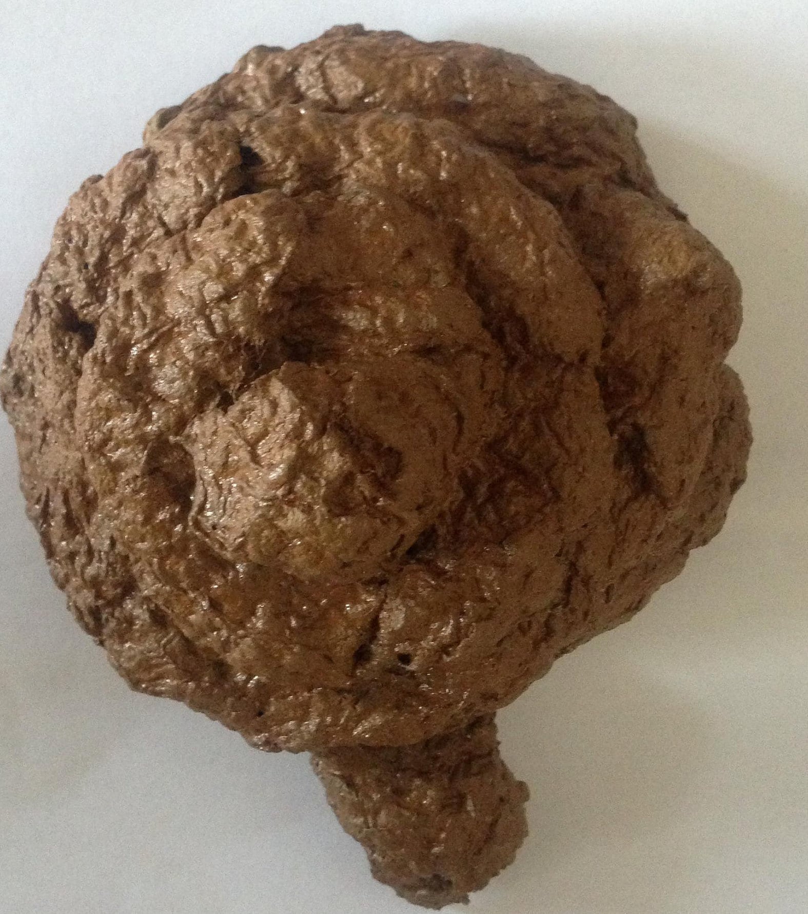 Fake Huge Poo Pile- Best Quality - Poo Joke Prank Gag Gross Poop TURD ...