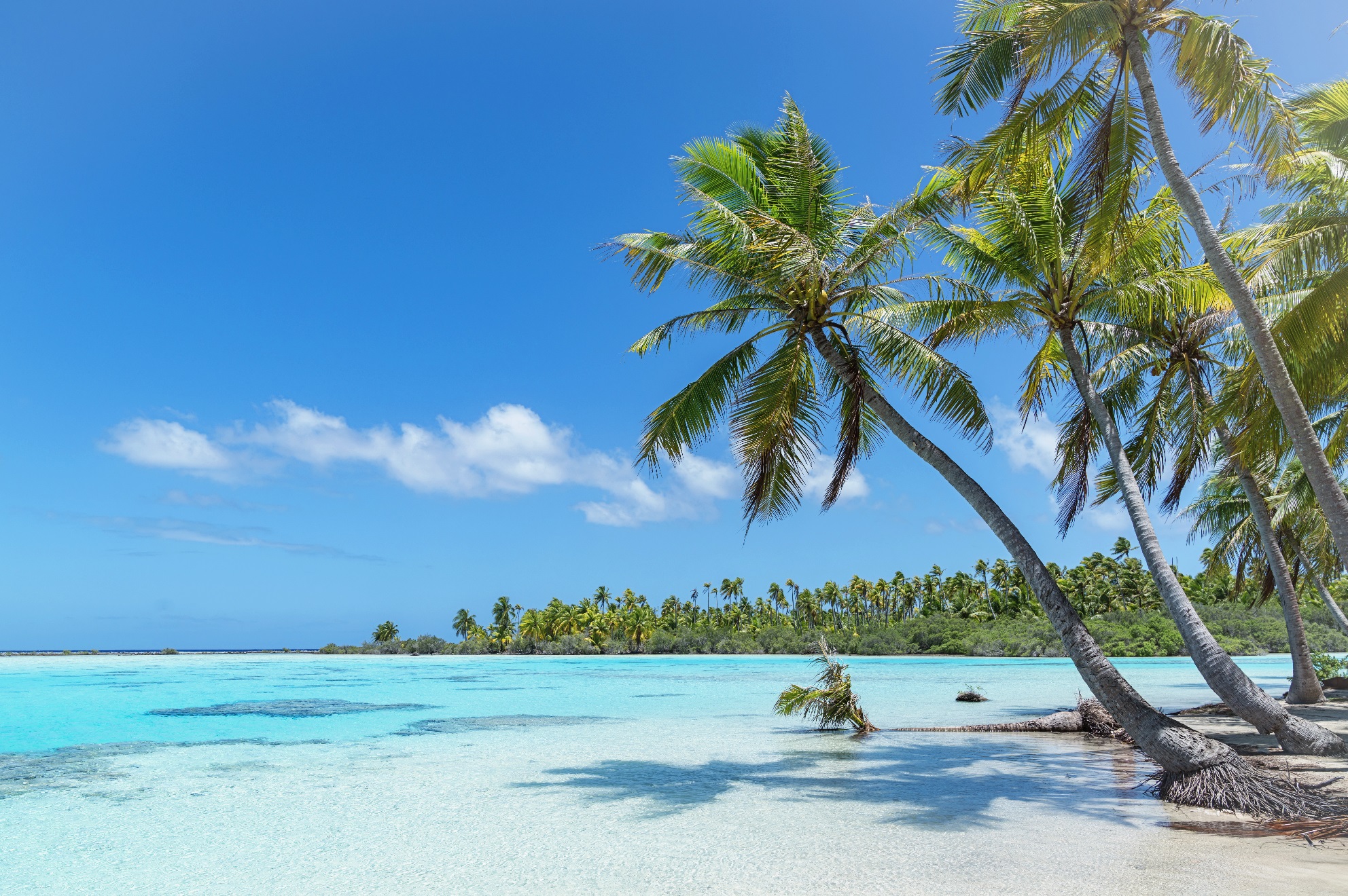 Boat Insulation Paradise - Using Your Marine Vessel To Visit Paradise ...