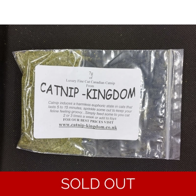 catnip kingdom